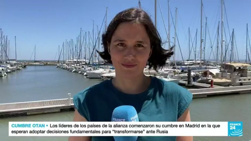 Aprende sobre la pesca local en Portugal: Descubre los mejores consejos ...