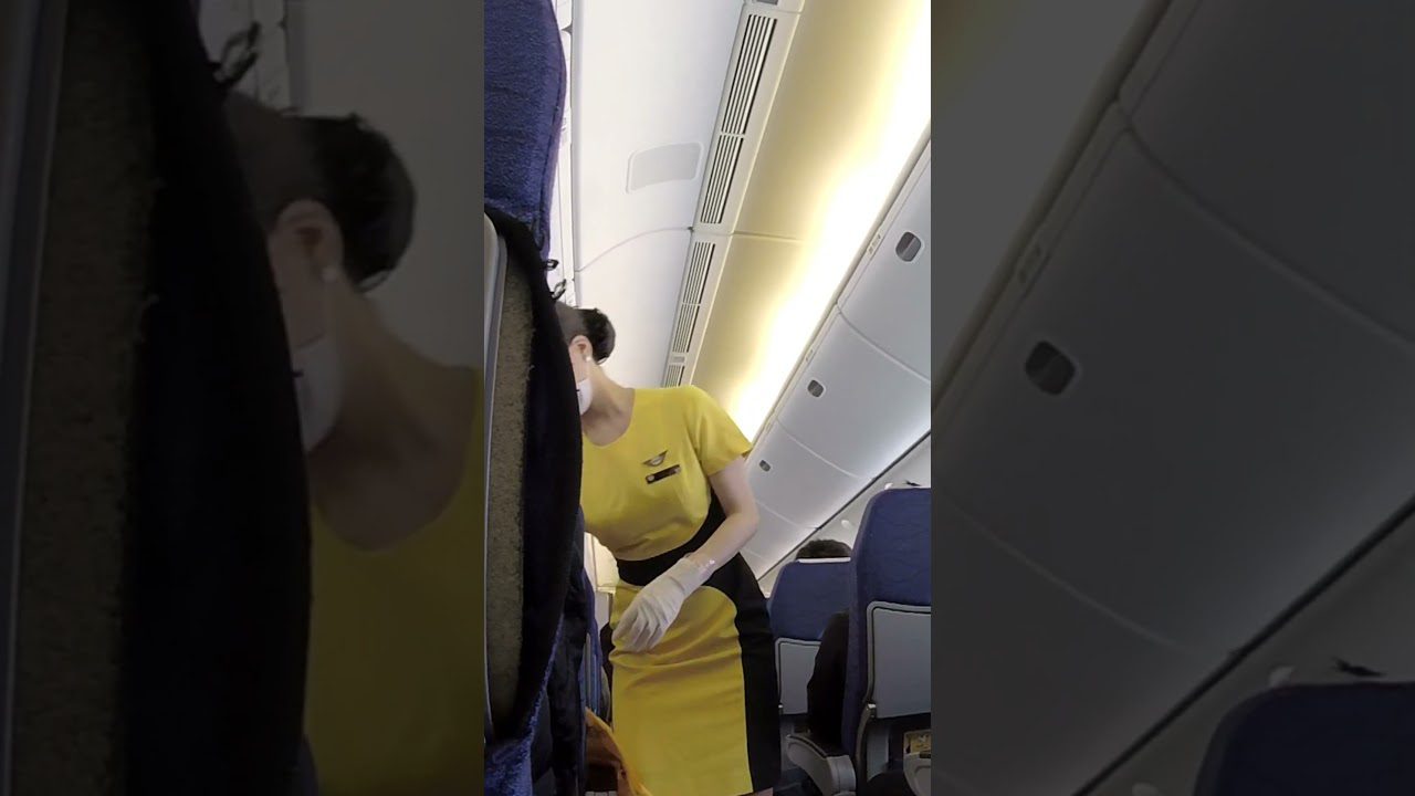 Información e Historia de NokScoot Airlines: Todo lo que Necesitas ...