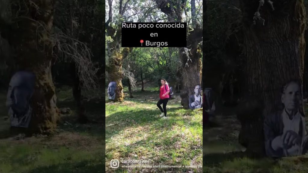 Descubre el Encanto del Turismo en la Jurisdicción de Lara: Guía ...
