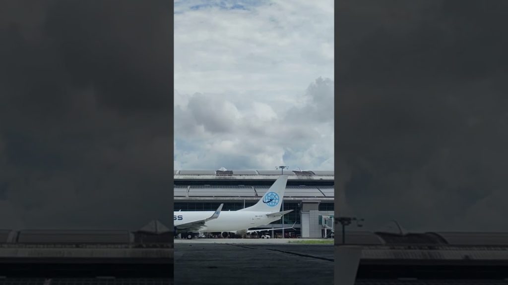 Información e historia de Kargo Xpress: Todo lo que debes saber sobre ...