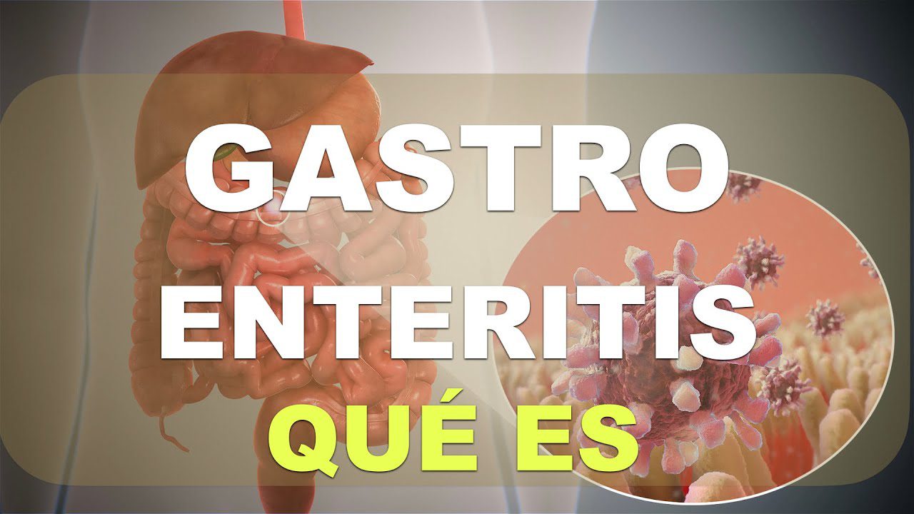 Información y Historia de GECA: Todo lo que Necesitas Saber - Pulso ...